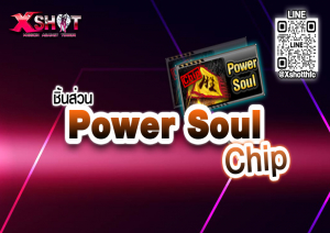 ชิ้นส่วน Power Soul (Chip)